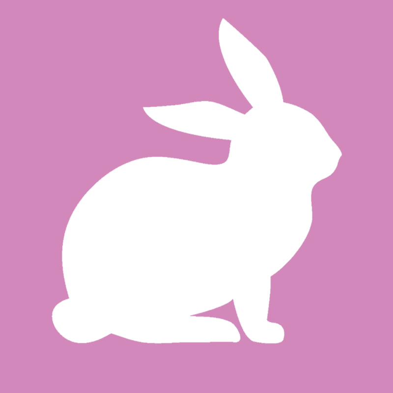 Animal Pairs Game - REEP Gardening Games
