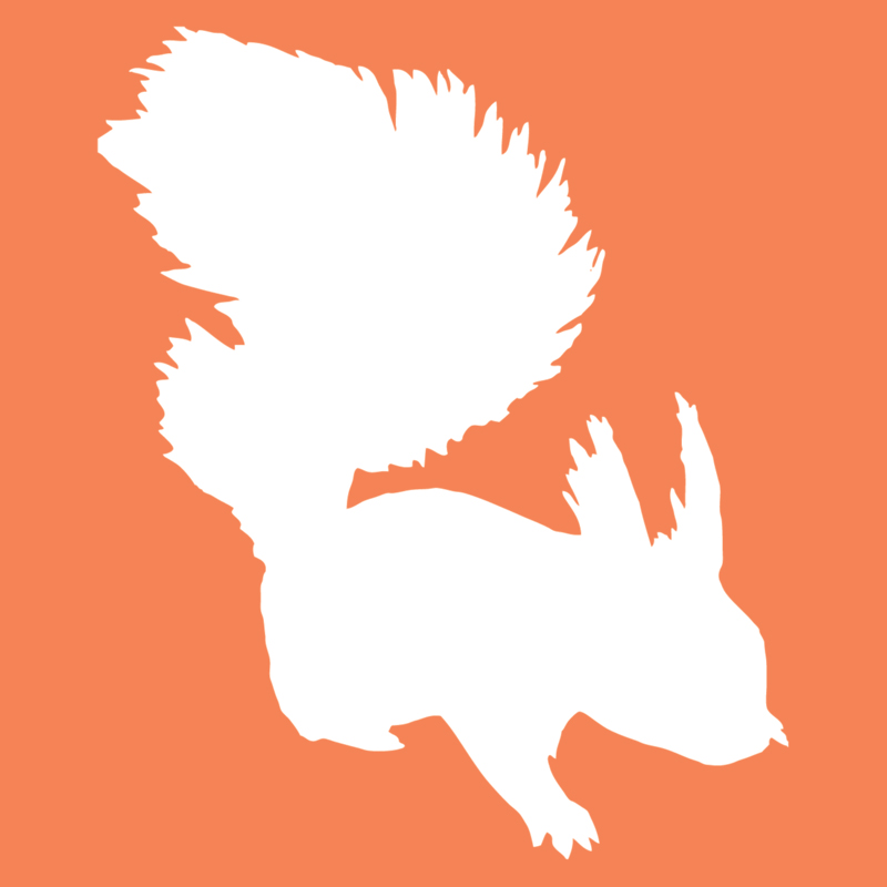 Animal Pairs Game - REEP Gardening Games
